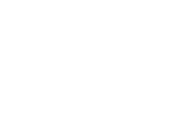 Energy Decarbonization Solutions - Magnus Commodities