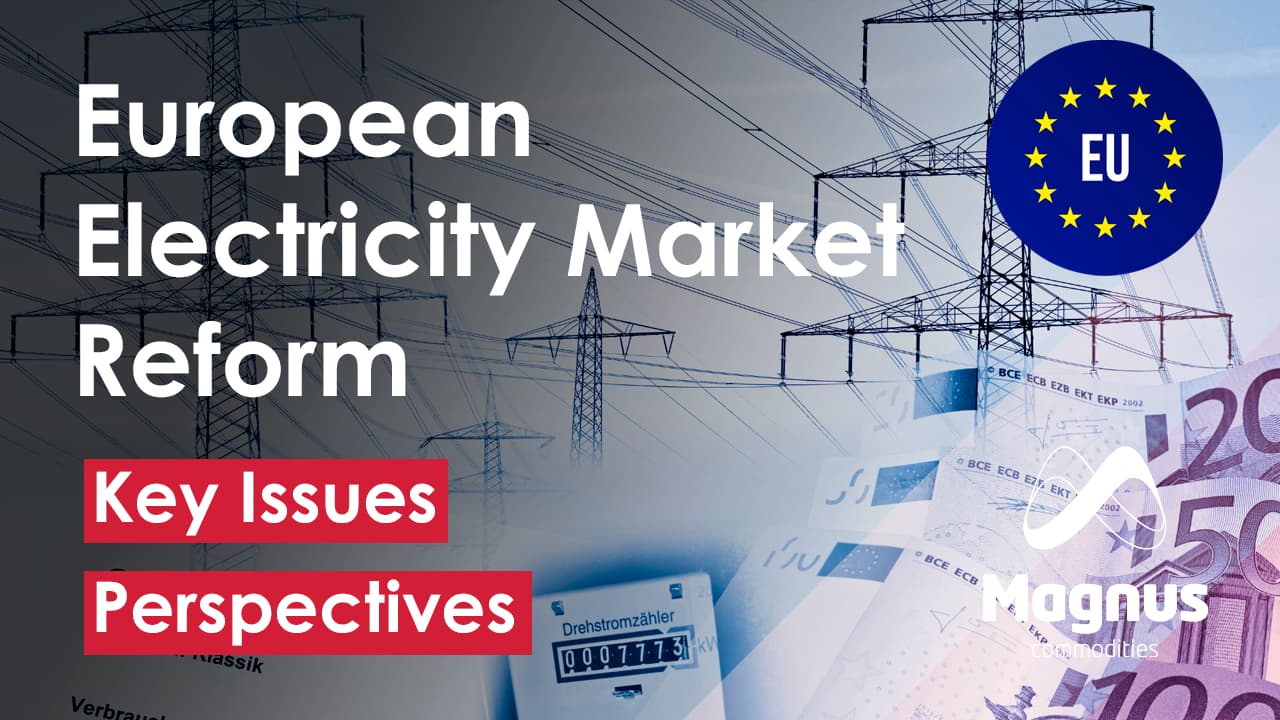 The Reform of the European Electricity Market - Magnus Commodities