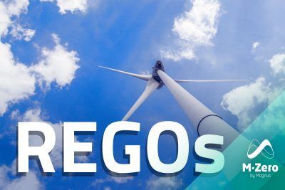 CDP 2024 Timeline: Key milestones