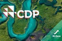 CDP 2024 Timeline: Key milestones