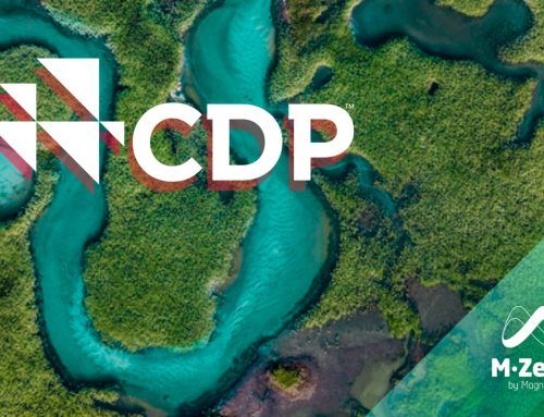The sustainability reporting landscape - Magnus Commodities