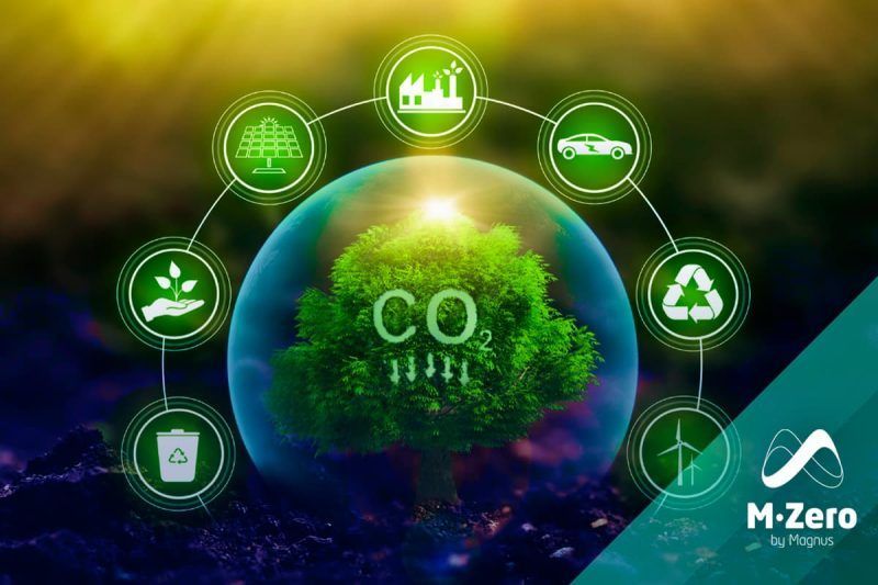 CDP 2024 Timeline: Key milestones – Magnus Commodities