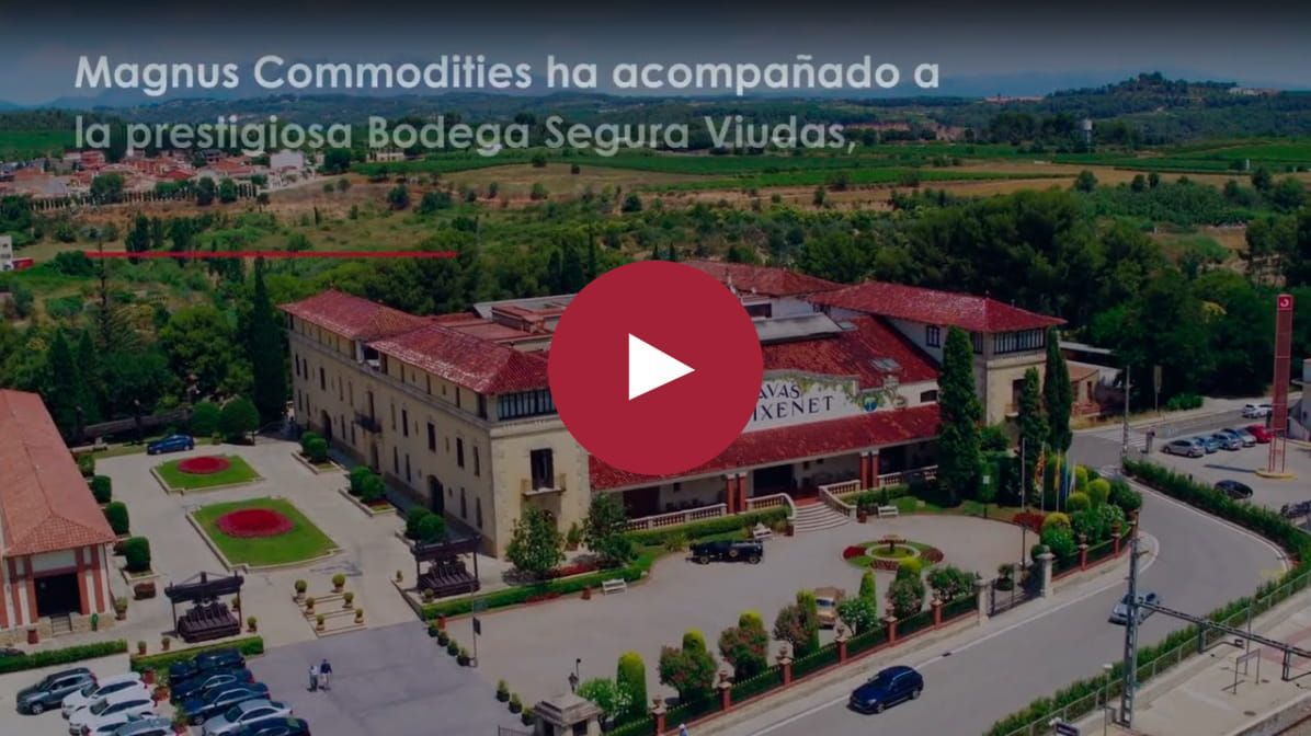 Instalaciones fotovoltaicas para Freixenet Group - Magnus Commodities