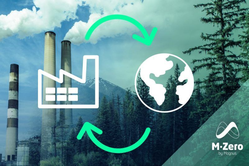 CDP 2024 Timeline: Key milestones