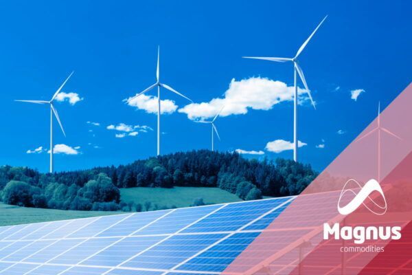 Capacity Markets in Europe - Magnus Commodities