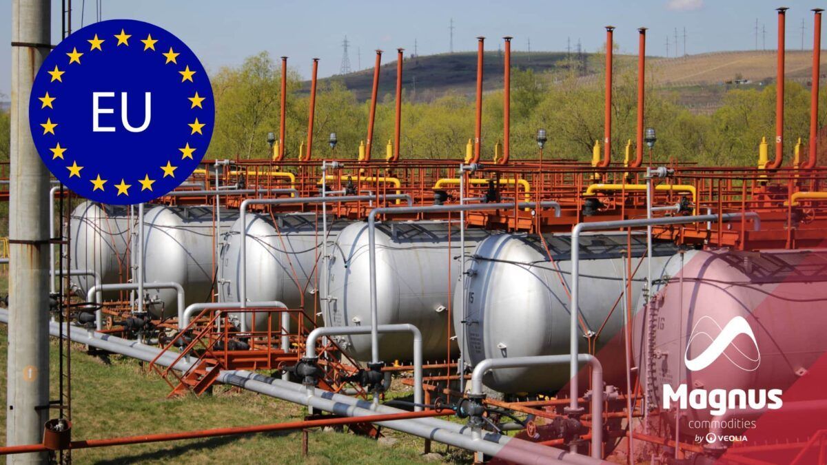 Capacity Markets in Europe - Magnus Commodities